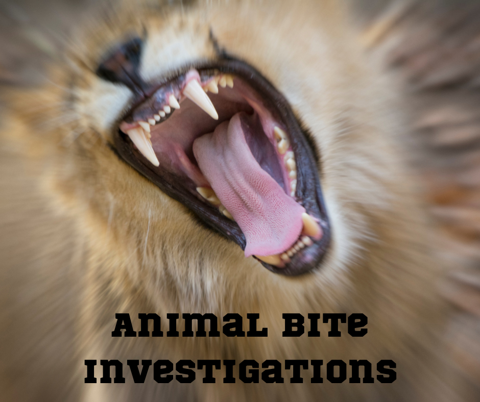 Animal Bites – Muhlenberg County Health Department